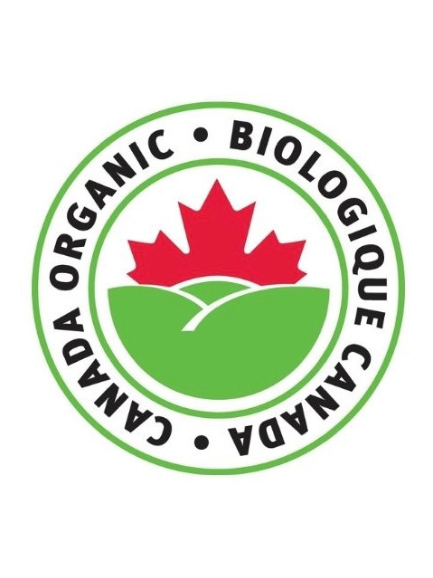 Mindful FÜD 🌱 Hunnie Made From (Rescued) Apples, Not Bees 🐝